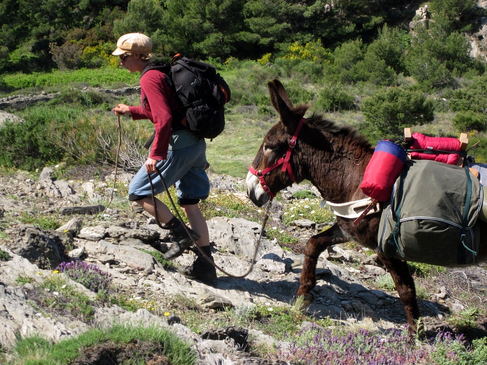 Donkey Trekking | BurroTrek